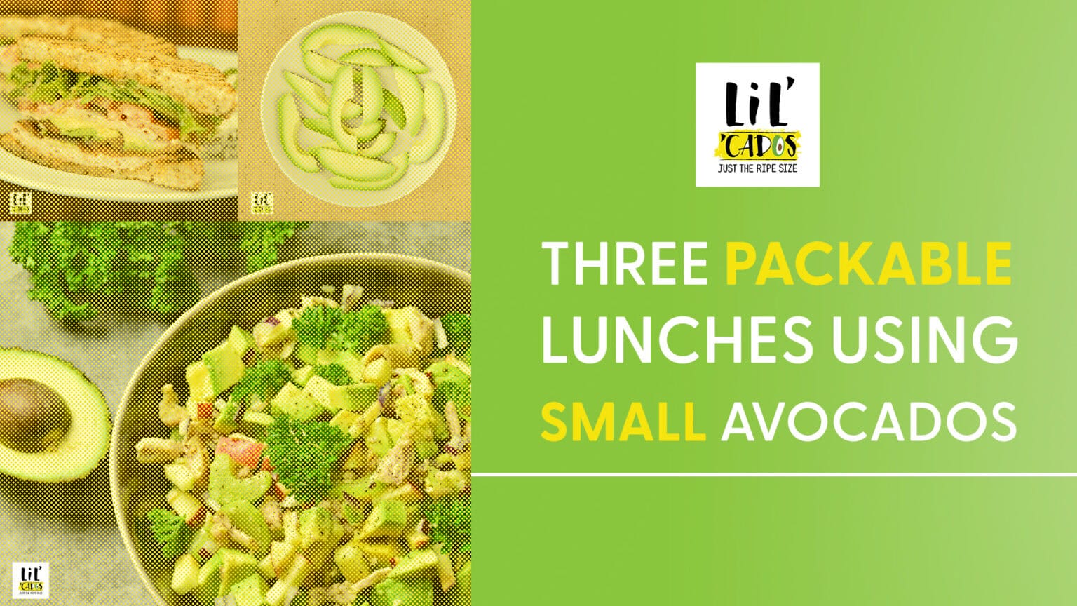 Three Packable Lunches Using Small Avocados - West Pak Avocado Inc.