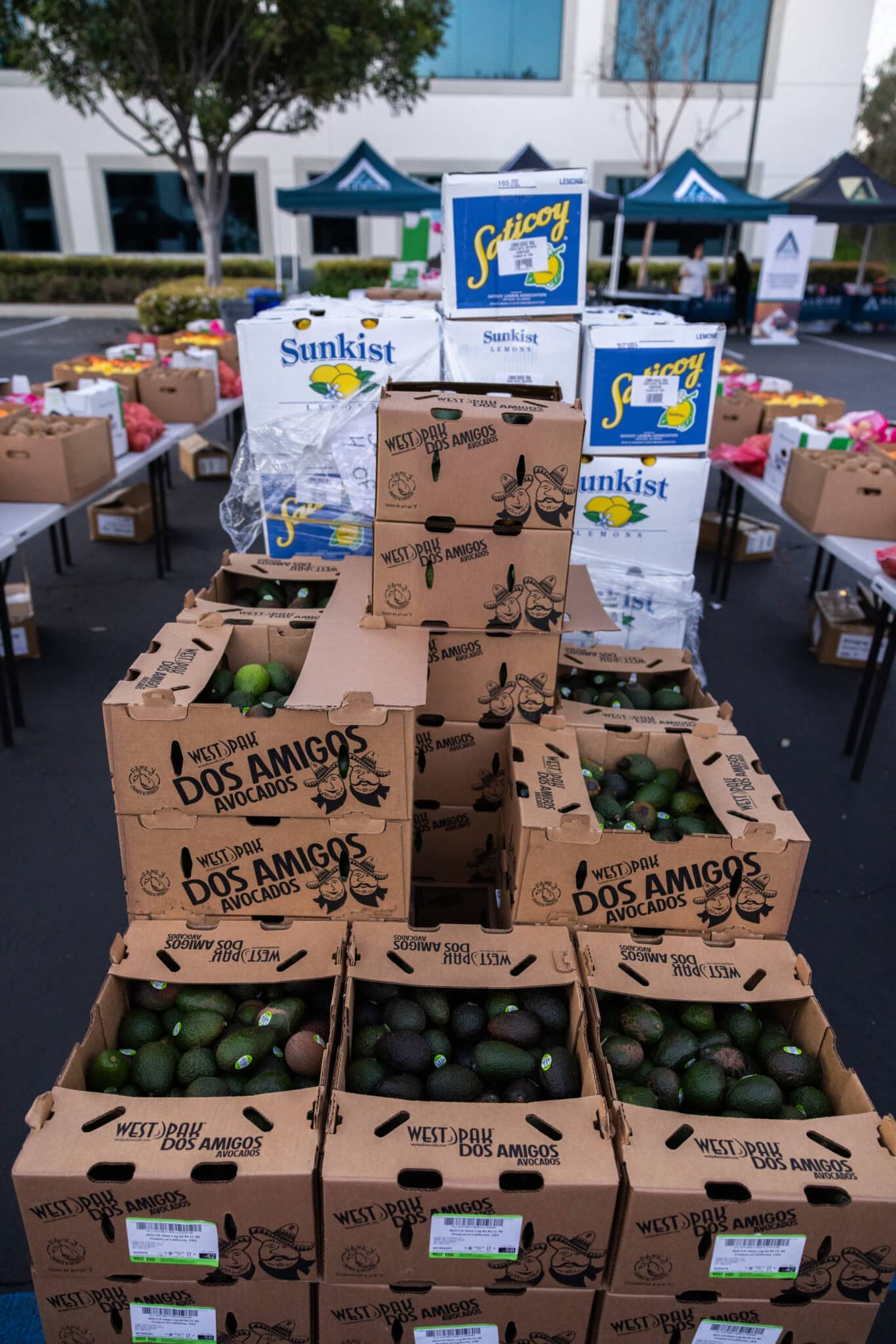 Spring Harvest 2025: Proud to Fuel Change—One Avocado at a Time - West ...
